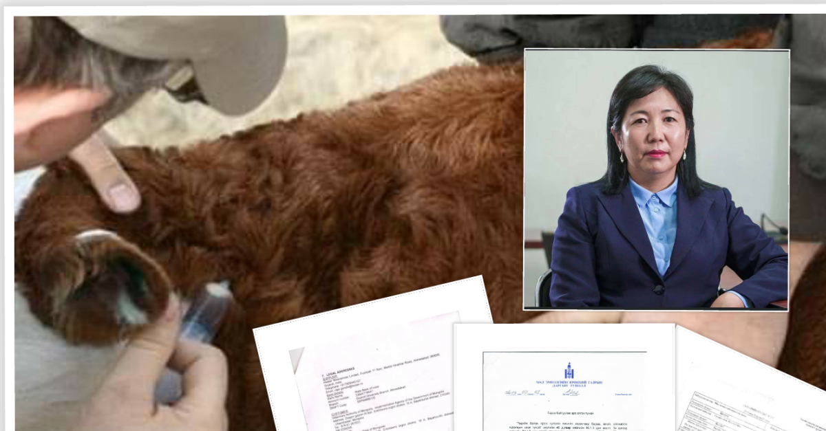 МАЛЫН ВАКЦИНААР МӨНГӨ УГААДАГ УУ?