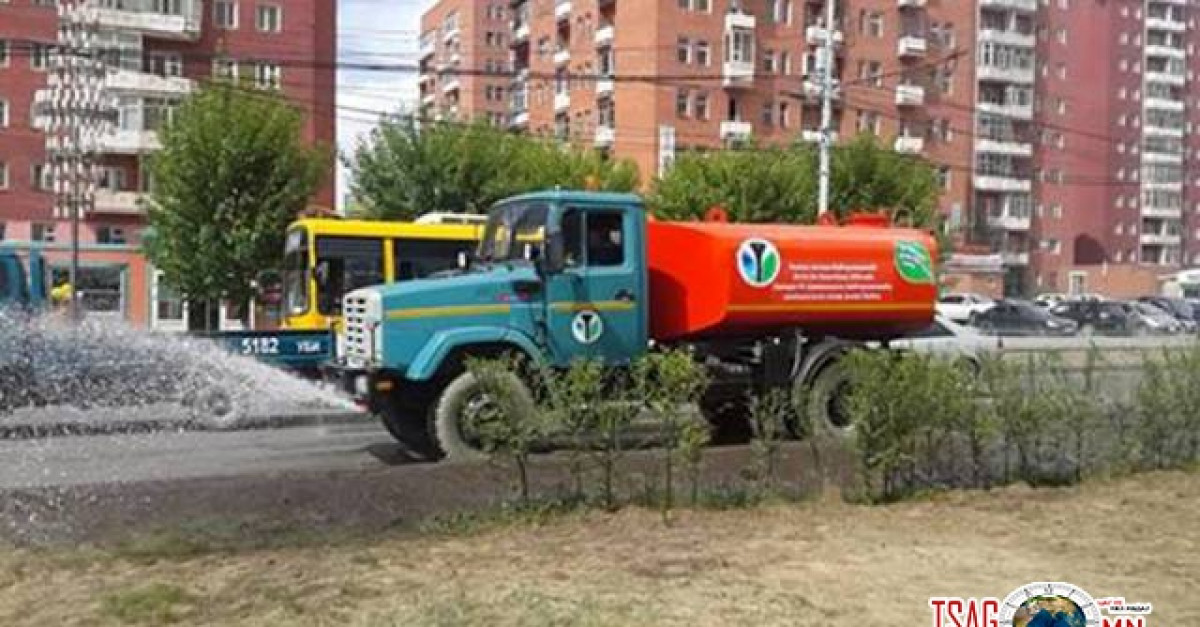 Нохойноос хүнд халддаг өвчнөөс урьдчилан сэргийлэхэд анхаарна